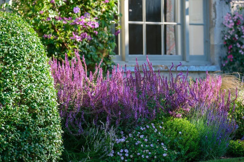 10 Questions with… – Daniel Combes - Blue Book Agency